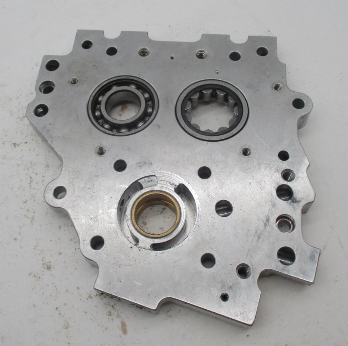 Harley Davidson 99-06 Twin Cam Genuine Screamin Eagle Cam Plate Kit Si ...